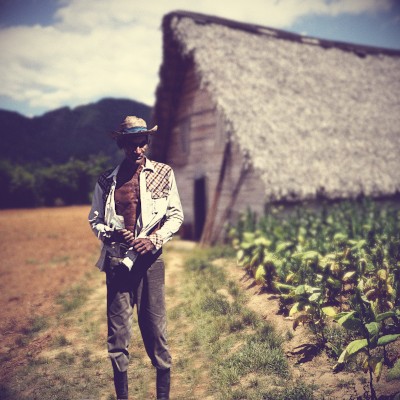 La loterie - Alice Ayel