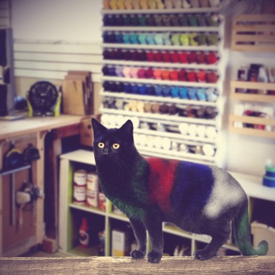 Possession - Baby Stage - vidéo 8 - Alice Ayel